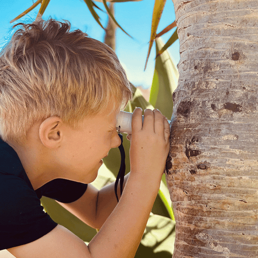 Shop – Little Wonder Explorer