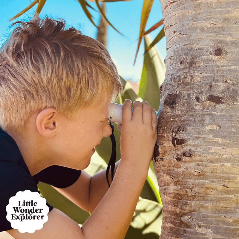 Pocket Microscope for Kids 🔬 – Little Wonder Explorer