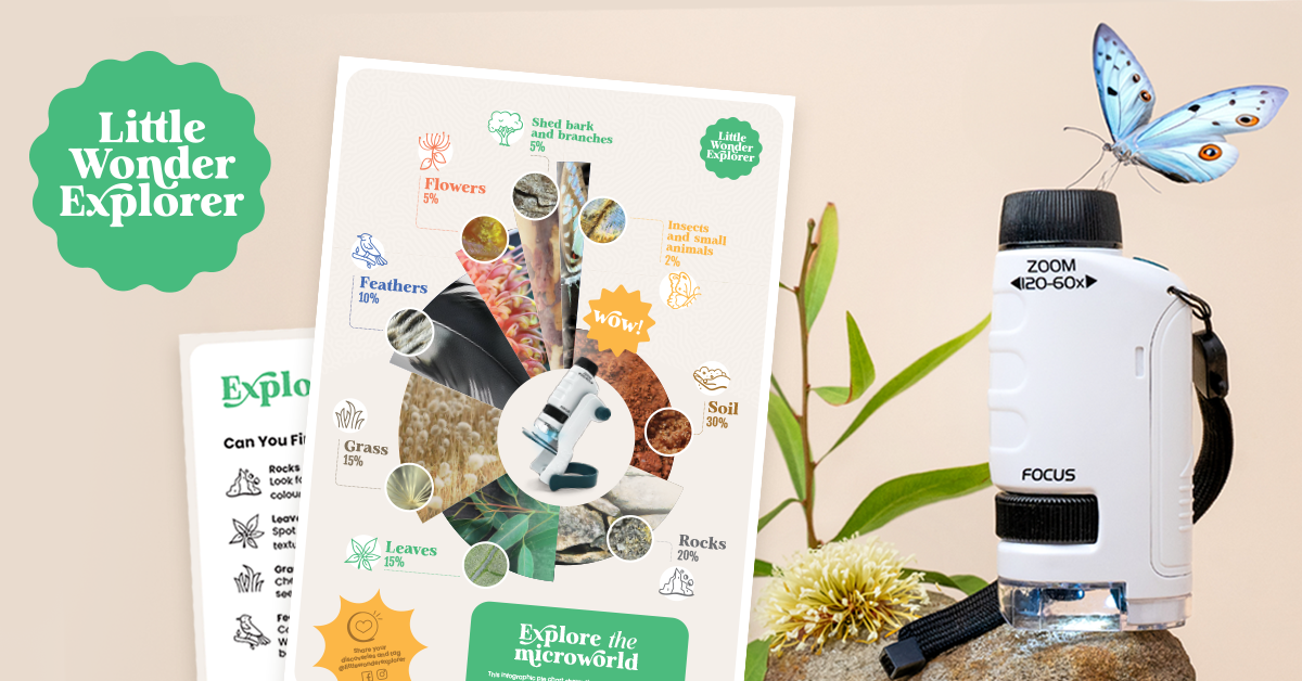 Little Wonder Explorer | Meaningful Toys For Kids