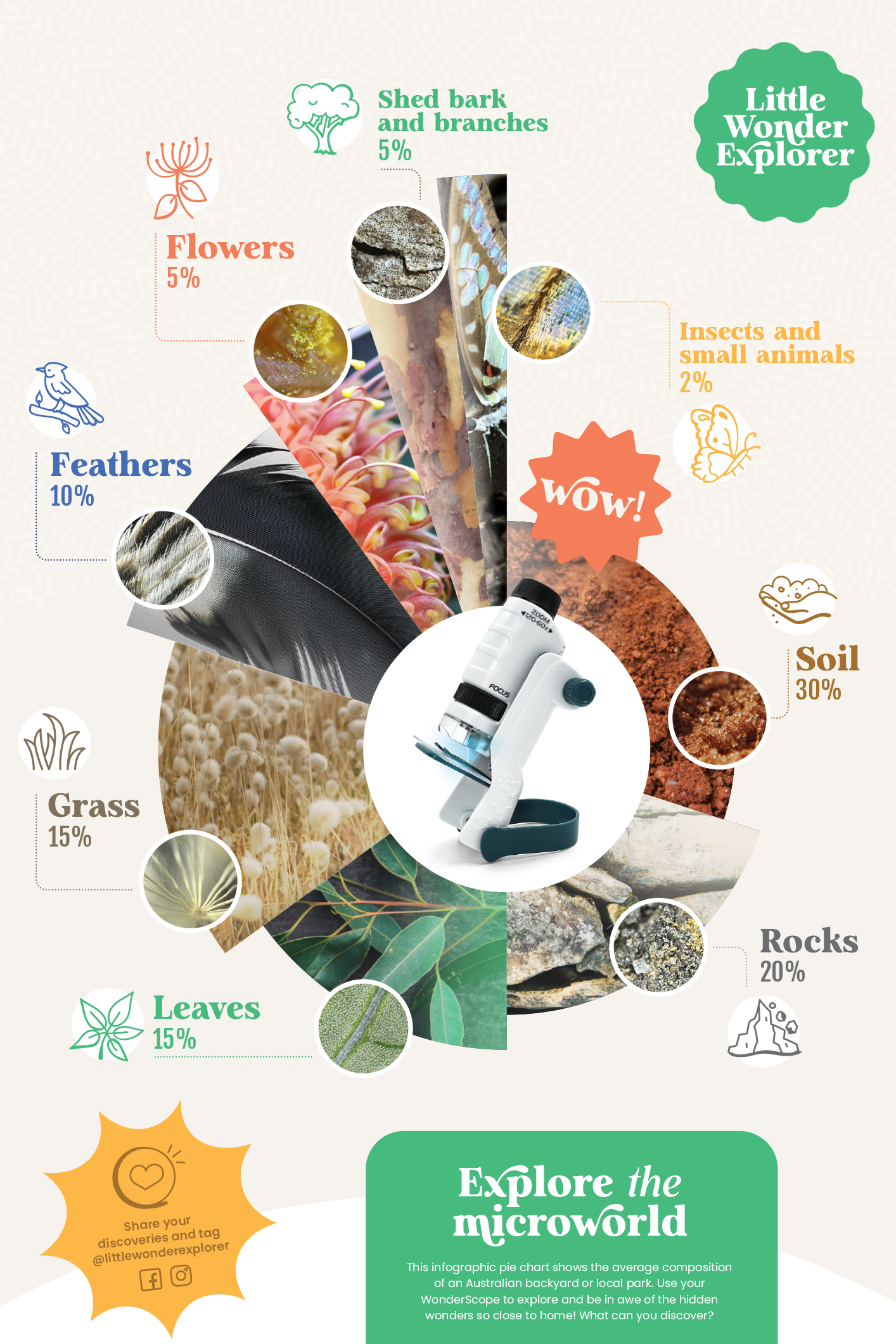 Free-infographic – Little Wonder Explorer